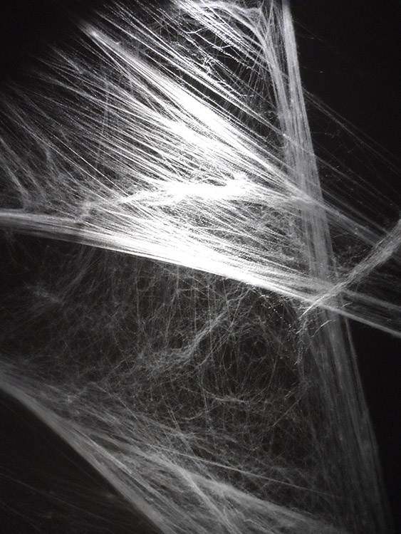 Petros Heliotis # Greece # Weaving Time... - Blank Wall Gallery